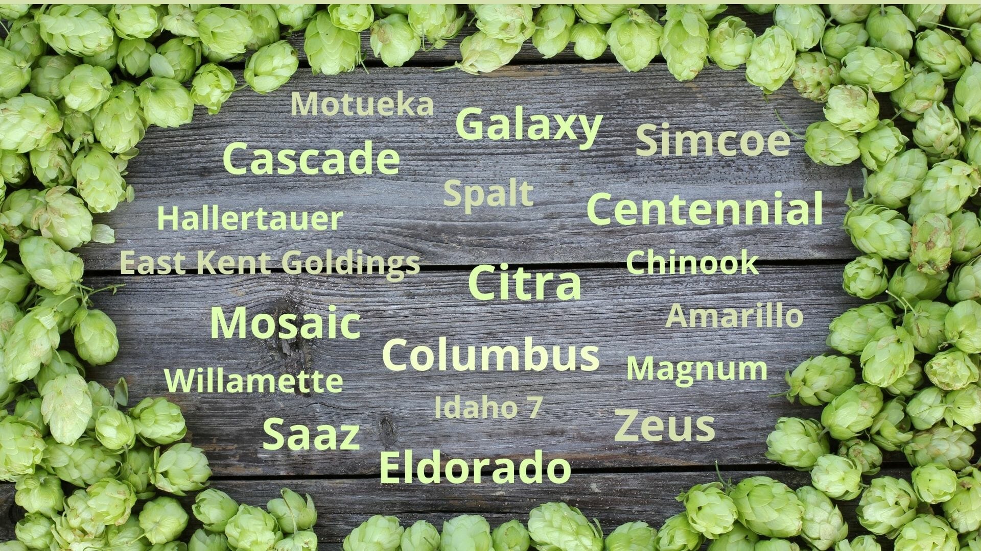 It's all about the hops